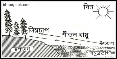 Class 8||Geography||Model Activity Task-2021|| Part 3 - Somadhan